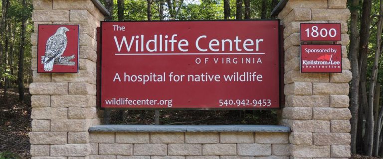 The Wildlife Center of Virginia | Virginia Wildlife Protection